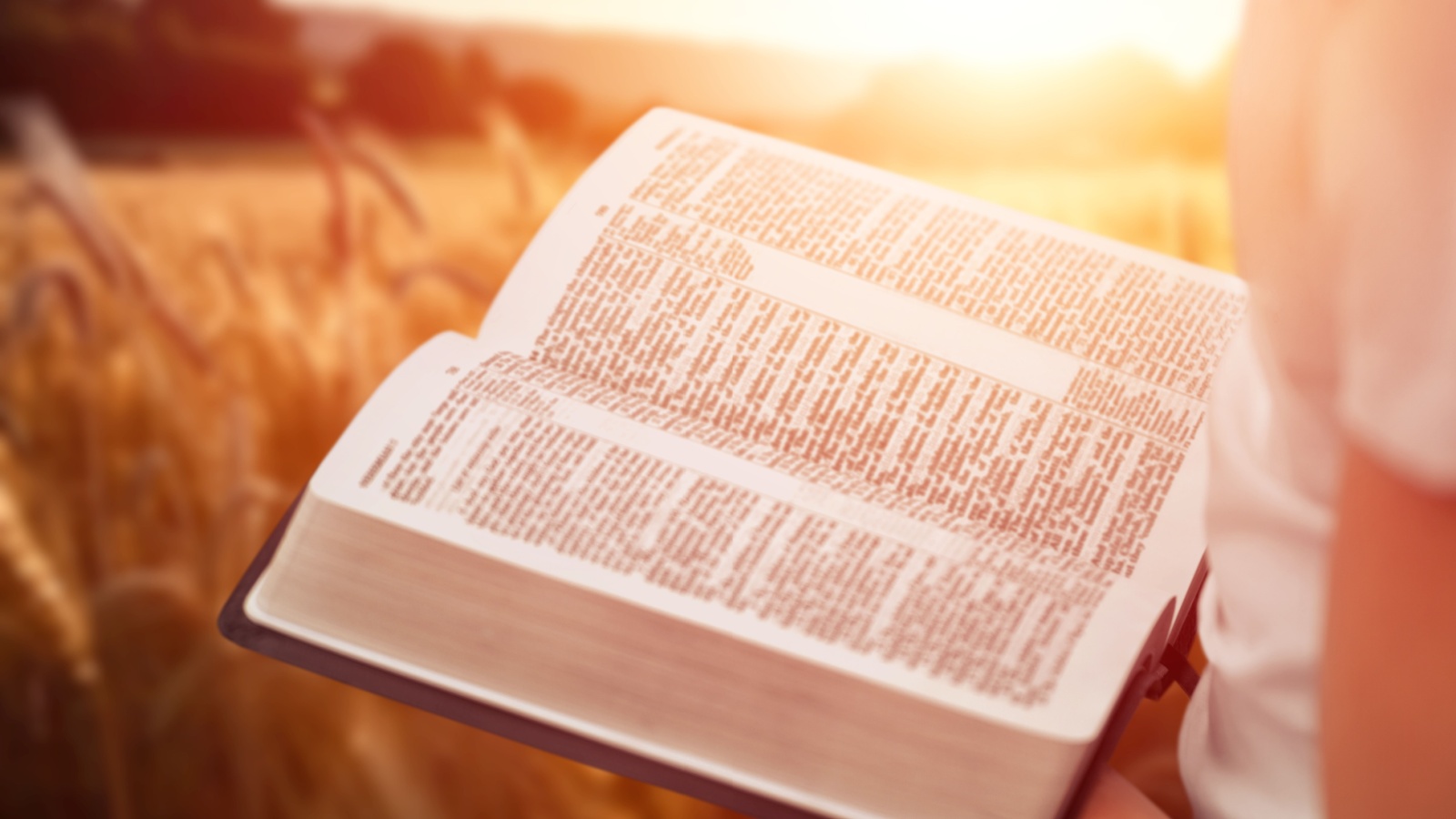 14 weniger bekannte Details über den Garten Eden | Positive Breeze