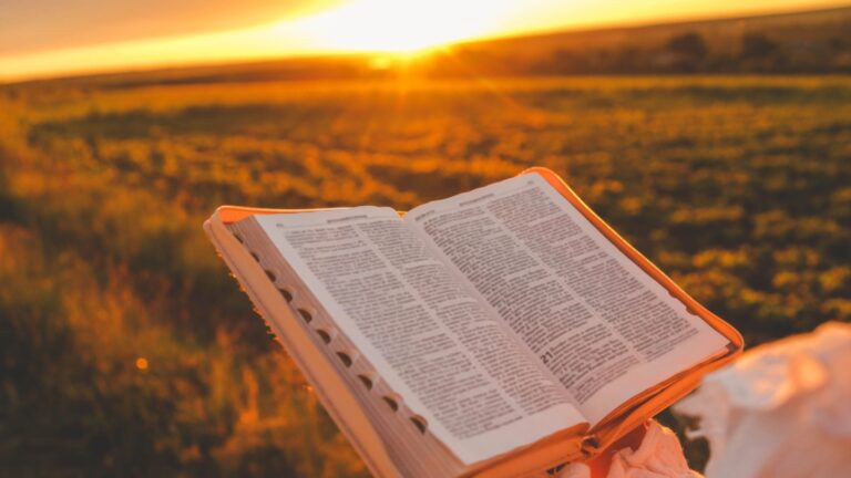 14 weniger bekannte Details über den Garten Eden | Positive Breeze